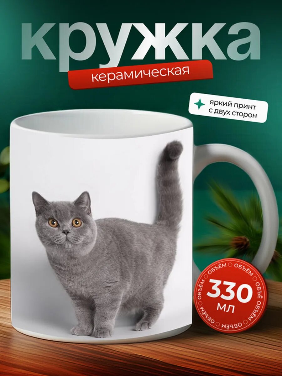 Кружка Британский бомбей кот 16,