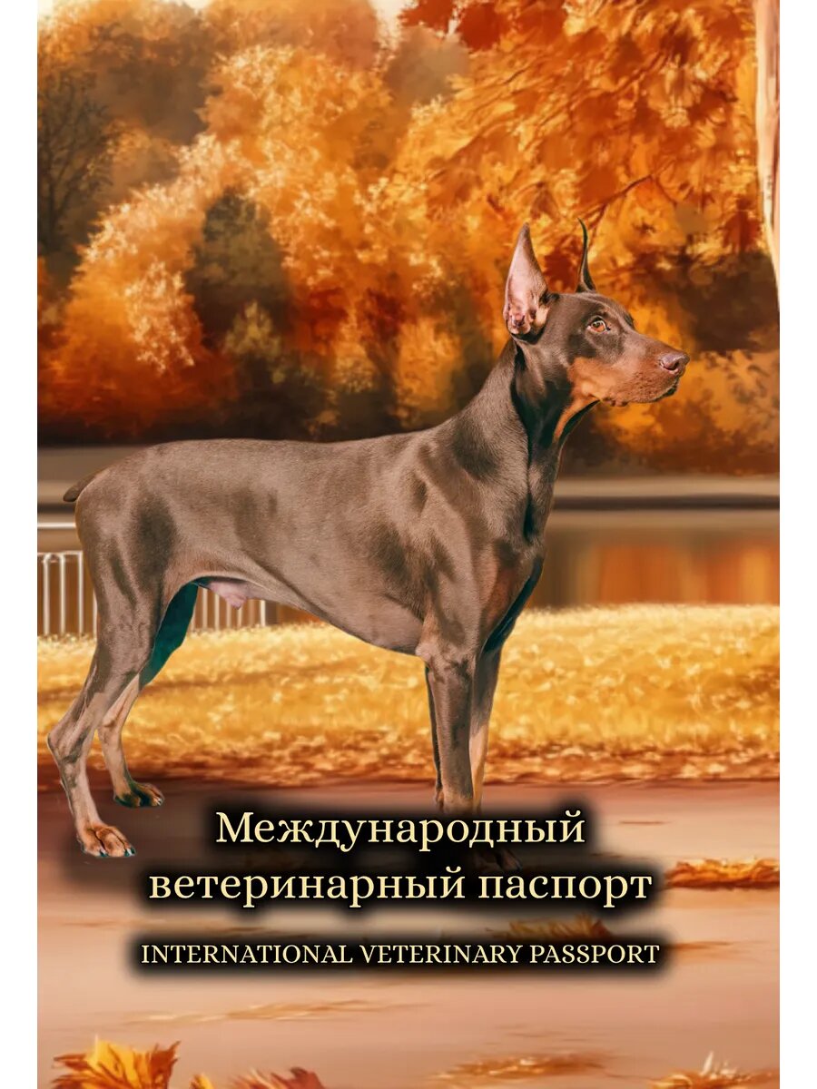 Международный ветеринарный паспорт с аудио-записью