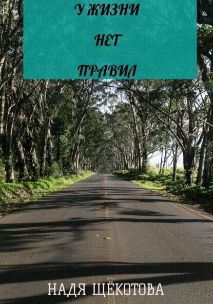 У жизни нет правил [Цифровая книга]