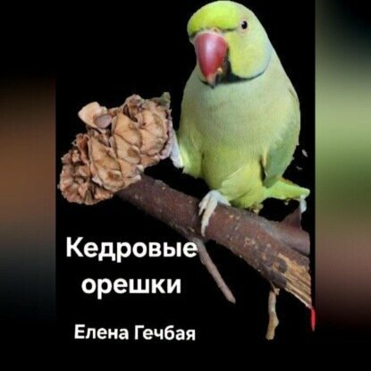 История Изи Изумрудного. Кедровые орешки [Аудиокнига]
