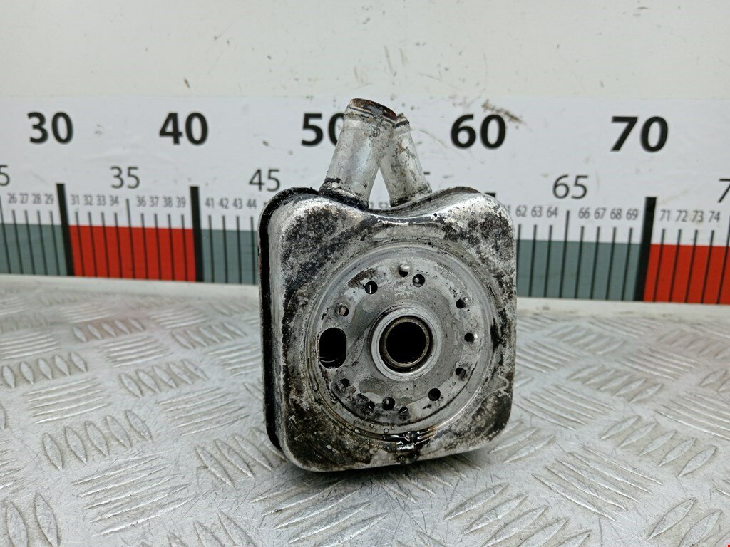 Теплообменник Volkswagen Passat 6 028117021L арт. 2187049
