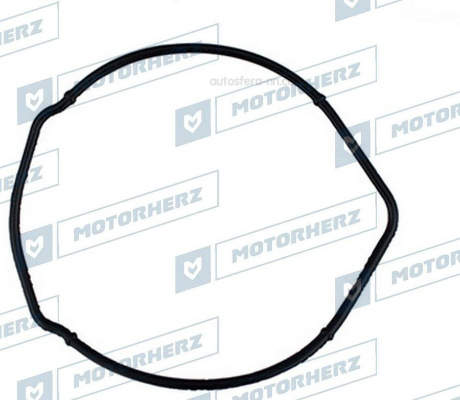 MOTORHERZ HPP0019GP Прокладка насоса ГУР