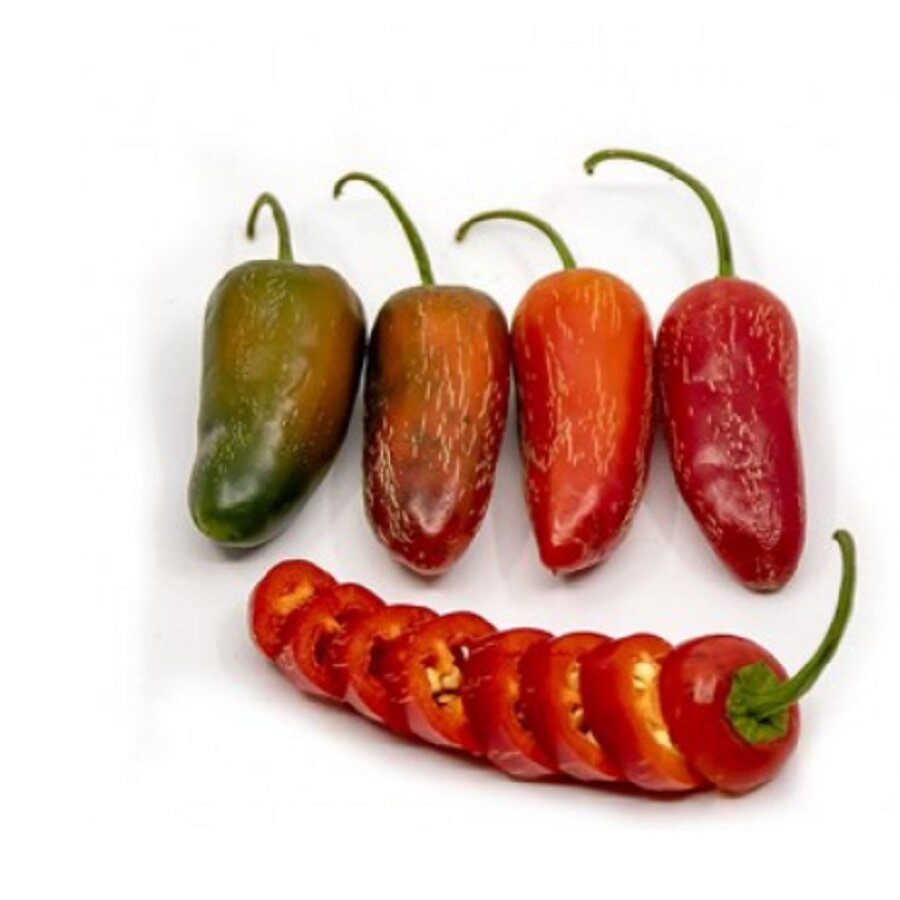 Семена Deodar SEEDS COMPANY Перец острый Jalapeno Biker Billy 5 шт.