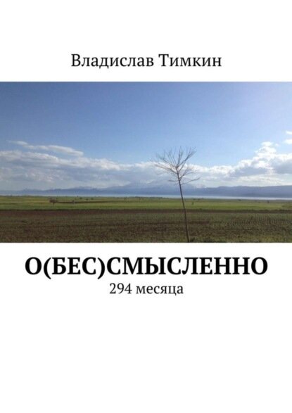 О(бес)смысленно. 294 месяца [Цифровая книга]