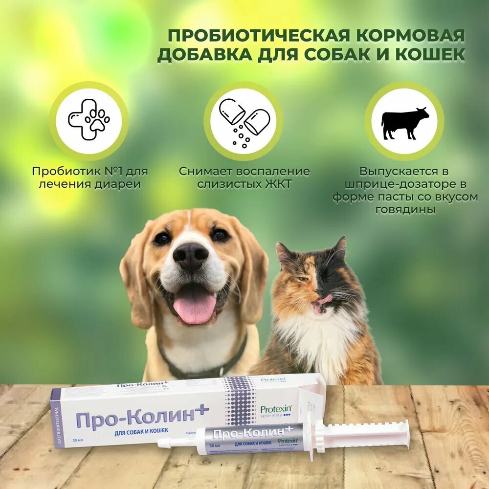 Protexin Проколин для микрофлоры животных, 60 мл — фото 1