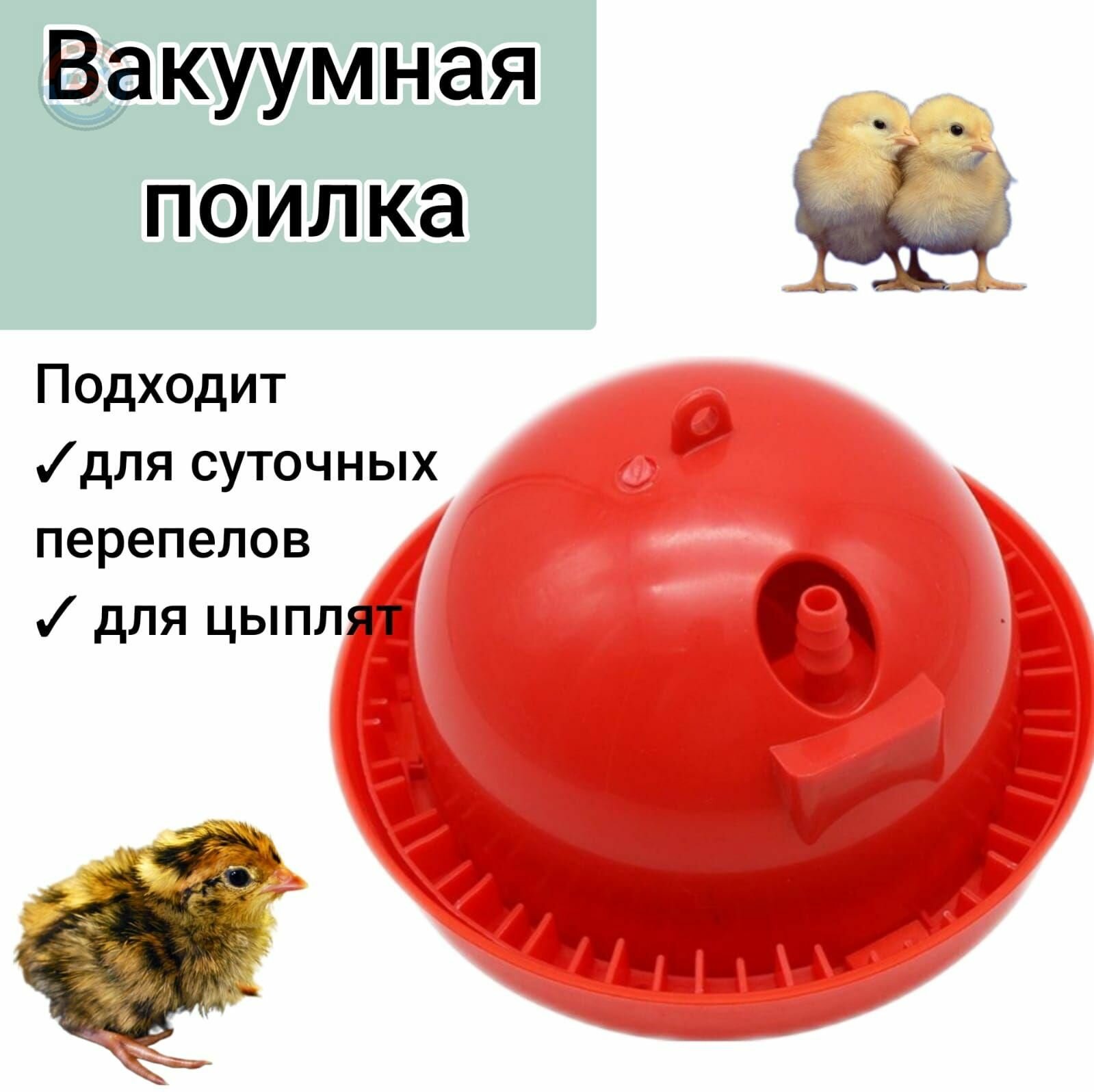 Автоматическая вакуумная поилка колокольного типа для кур и птицы с подключением к баку чистая вода без луж сухая подстилка простое решение для птицеводов