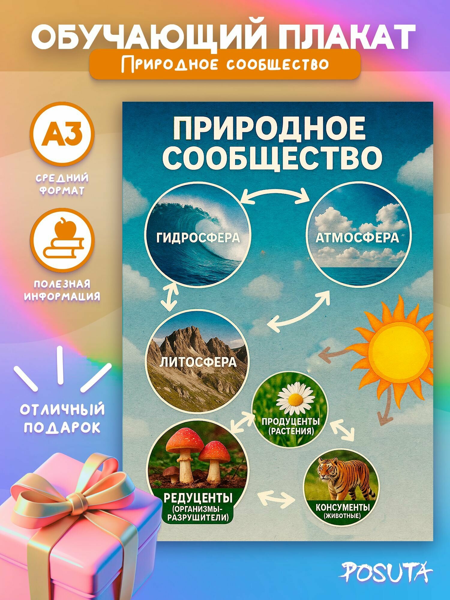 Постер на стену обучающий природное сообщество