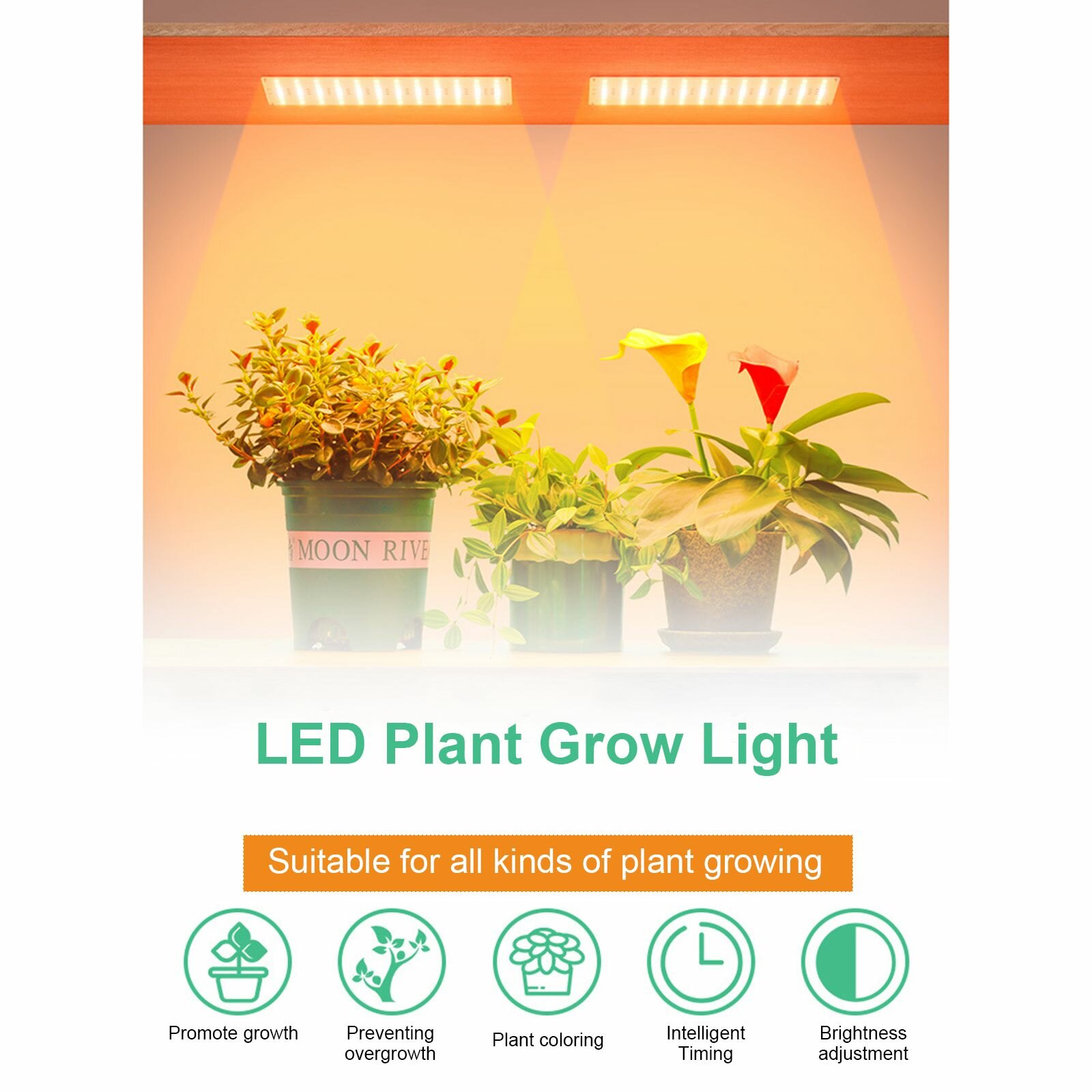 Освещение Светодиодные лампы для растений Внутренние USB-светильники Quantum Plant Fill Lights Подвесные лампы для растений 5 В