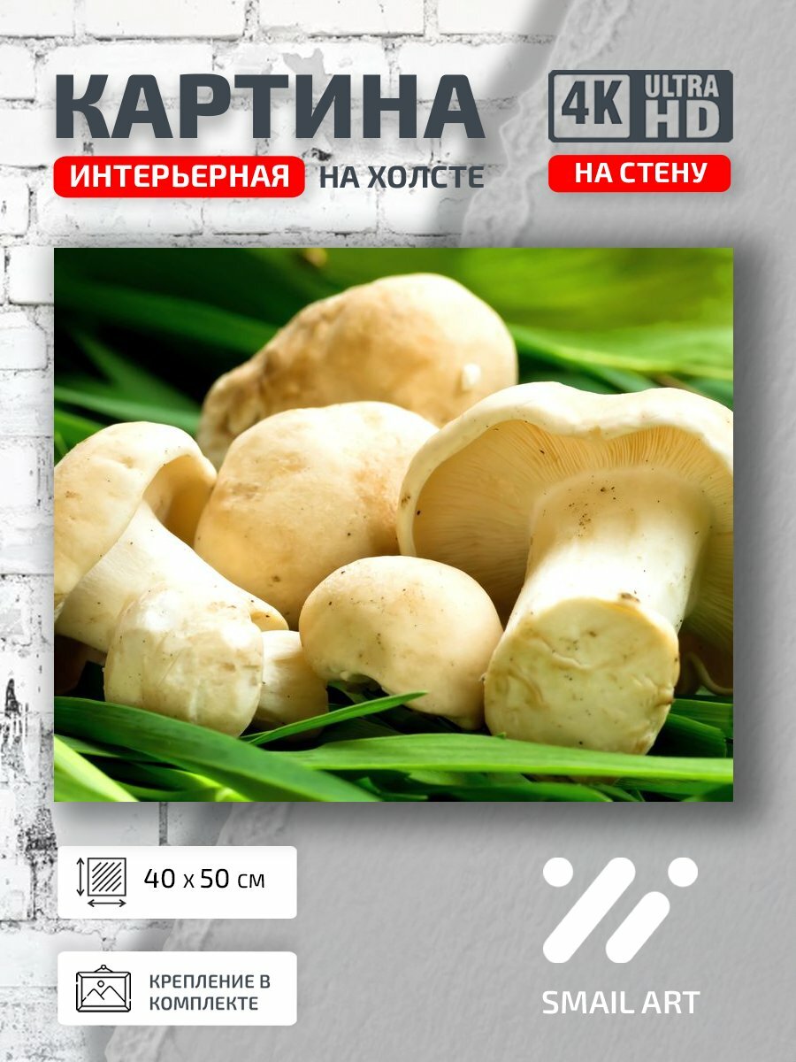 Картина на холсте интерьерная 40 на 50 на стену Грибы Landscape для кафе пейзаж интерьер