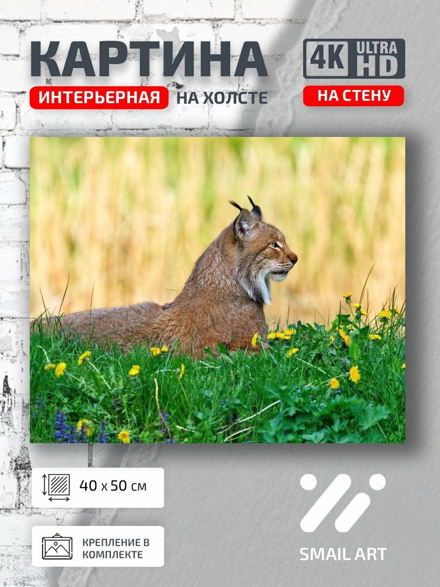 Картина на холсте интерьерная 40 на 50 на стену Лежит Mood для офиса атмосфера интерьер