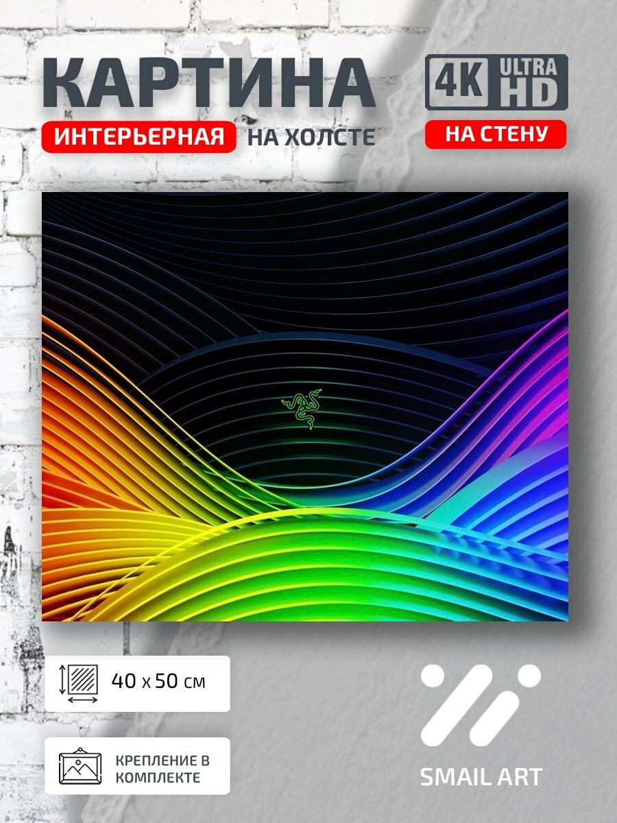 Картина на холсте интерьерная 40 на 50 на стену Razer Красочный для офиса атмосфера