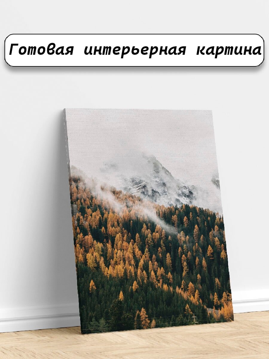 Картины для интерьера 30х40Природа лес пейзаж;