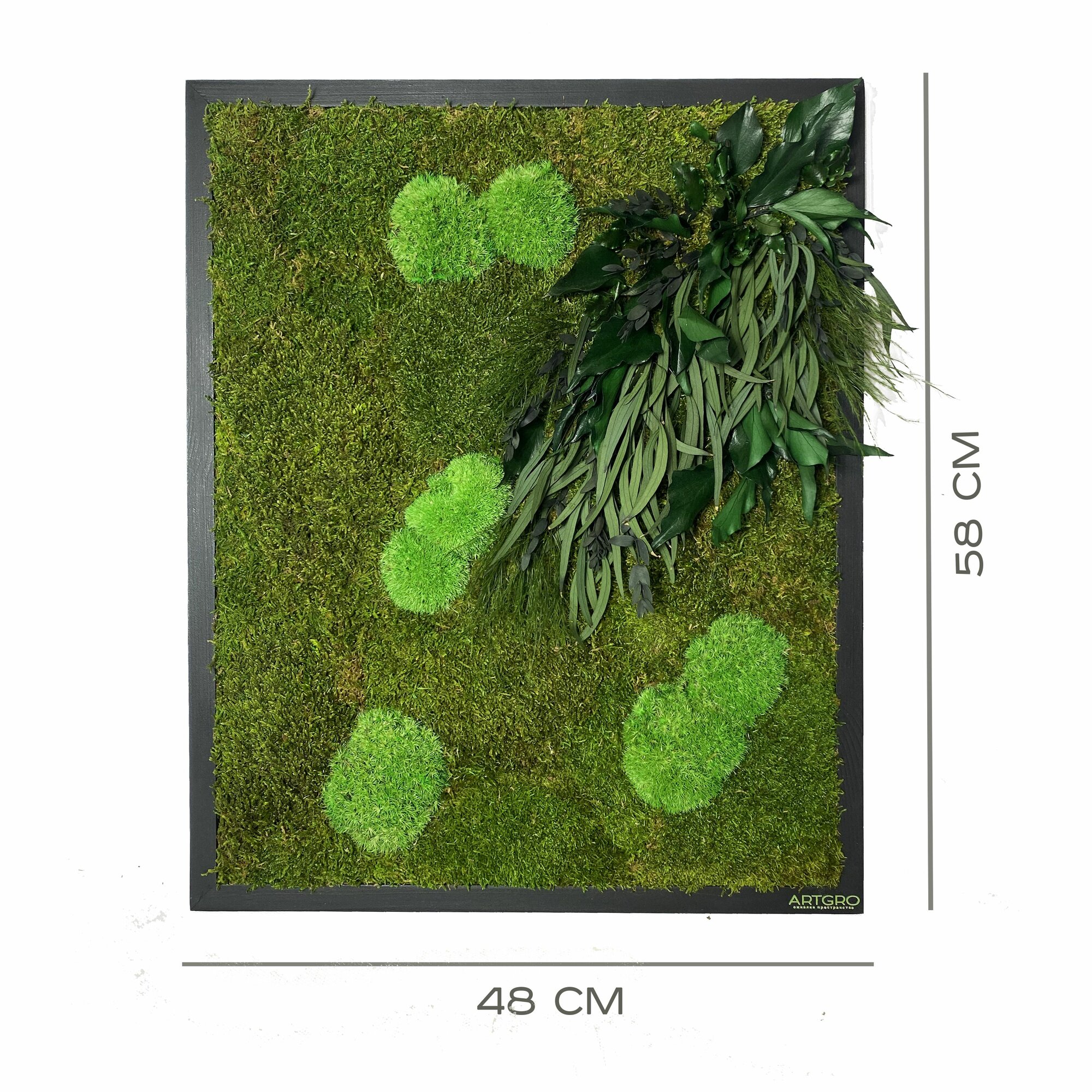 Фитокартина из стабилизированного мха и растений