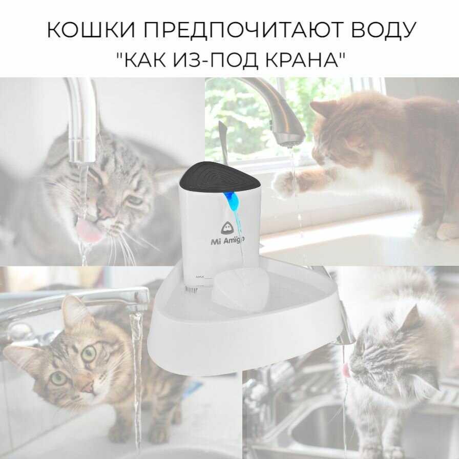 Автокормушка — фото 1