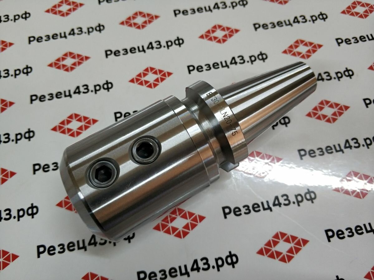 Оправка с конусом BT30 (ISO 30, 7:24) для инструмента с боковым зажимом Weldon 20, вылет 60 (BT30-SLN20-60)