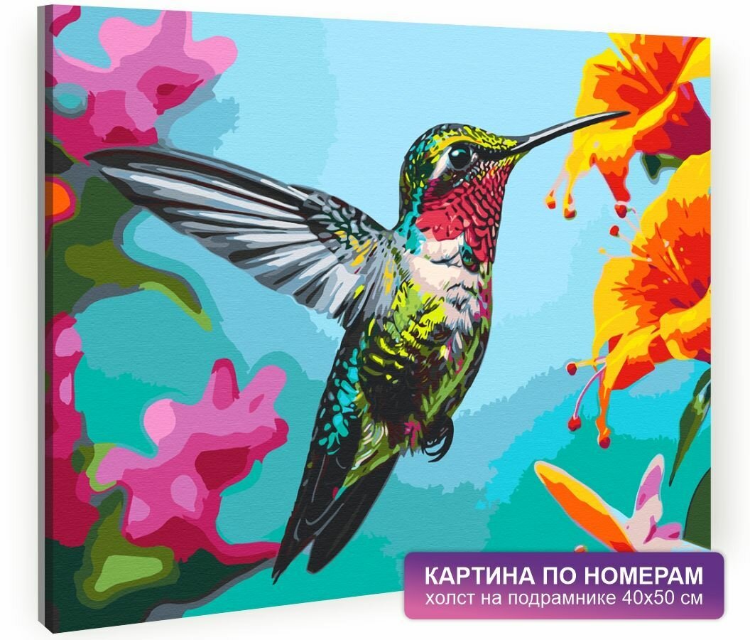 Картина по номерам на холсте с подрамником 40х50 см. Природа, животные, рыбы, птицы. "Колибри", арт. 5141/