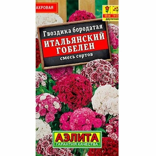 Гвоздика турецкая Итальянский гобелен, смесь окрасок (3 упаковки семян)