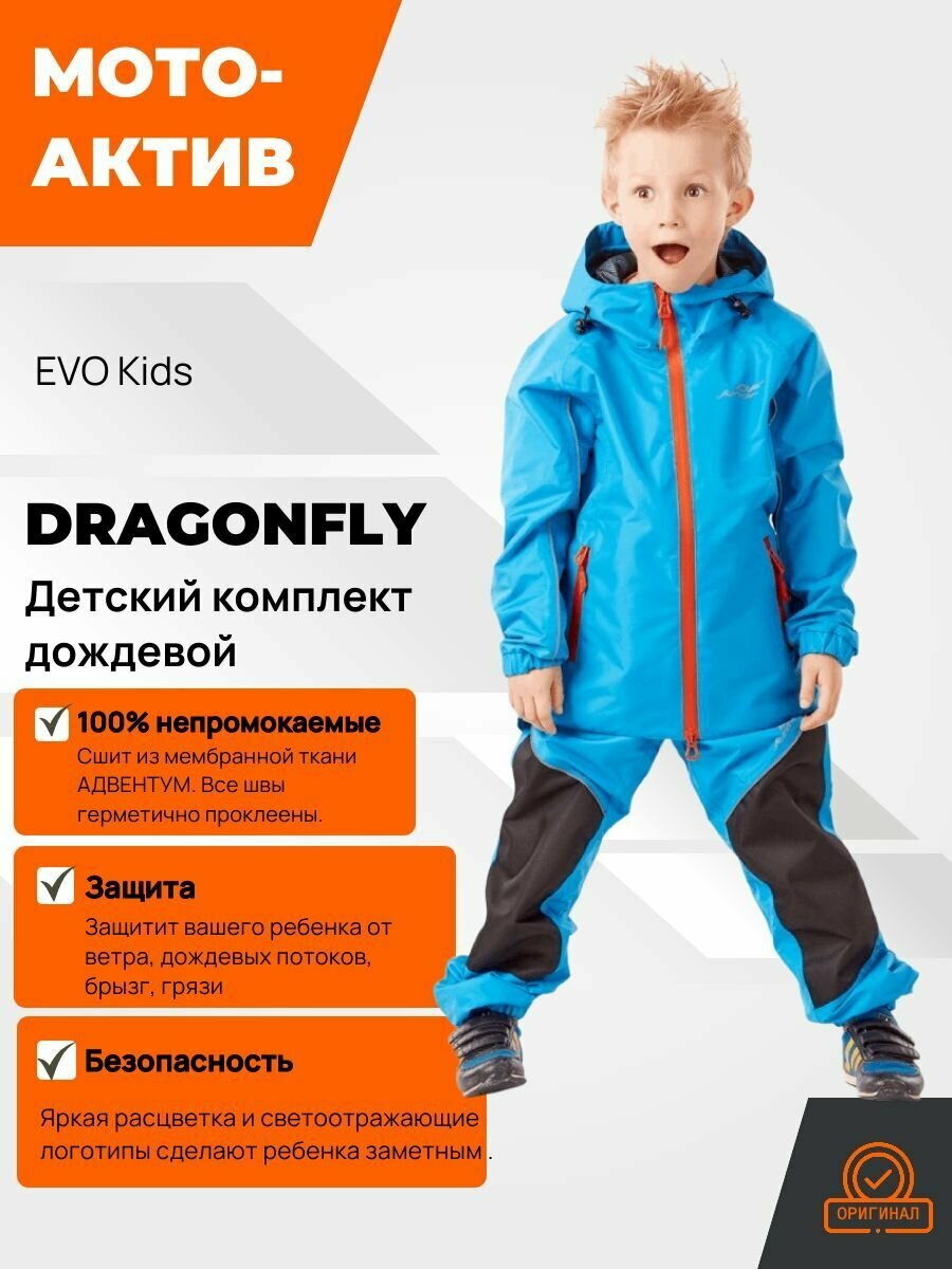 Комплект верхней одежды Dragonfly