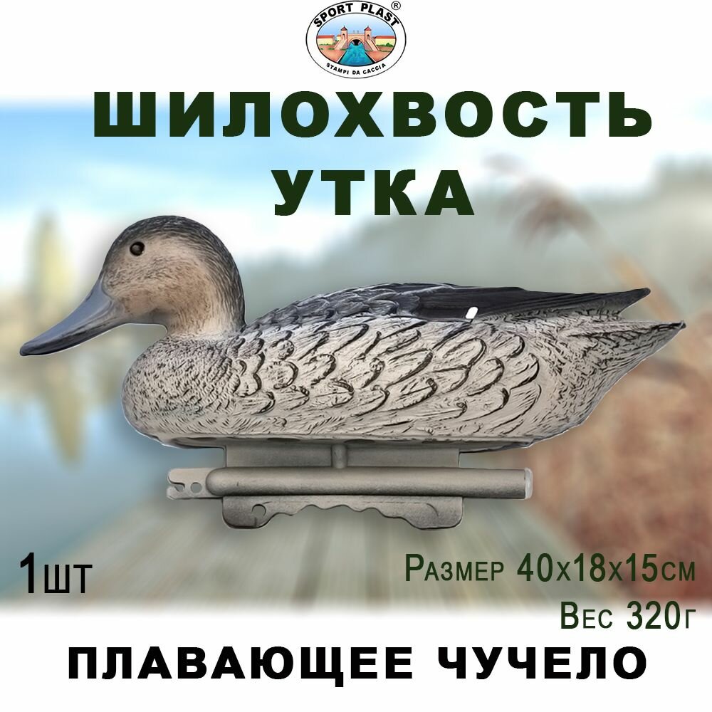 Чучело Шилохвости (утка) плавающая Sport Plast