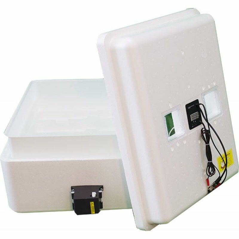 Инкубатор бытовой БИ-1 (77 яиц, 220в/12в, автоматический поворот, цифровой терм, арт.63)