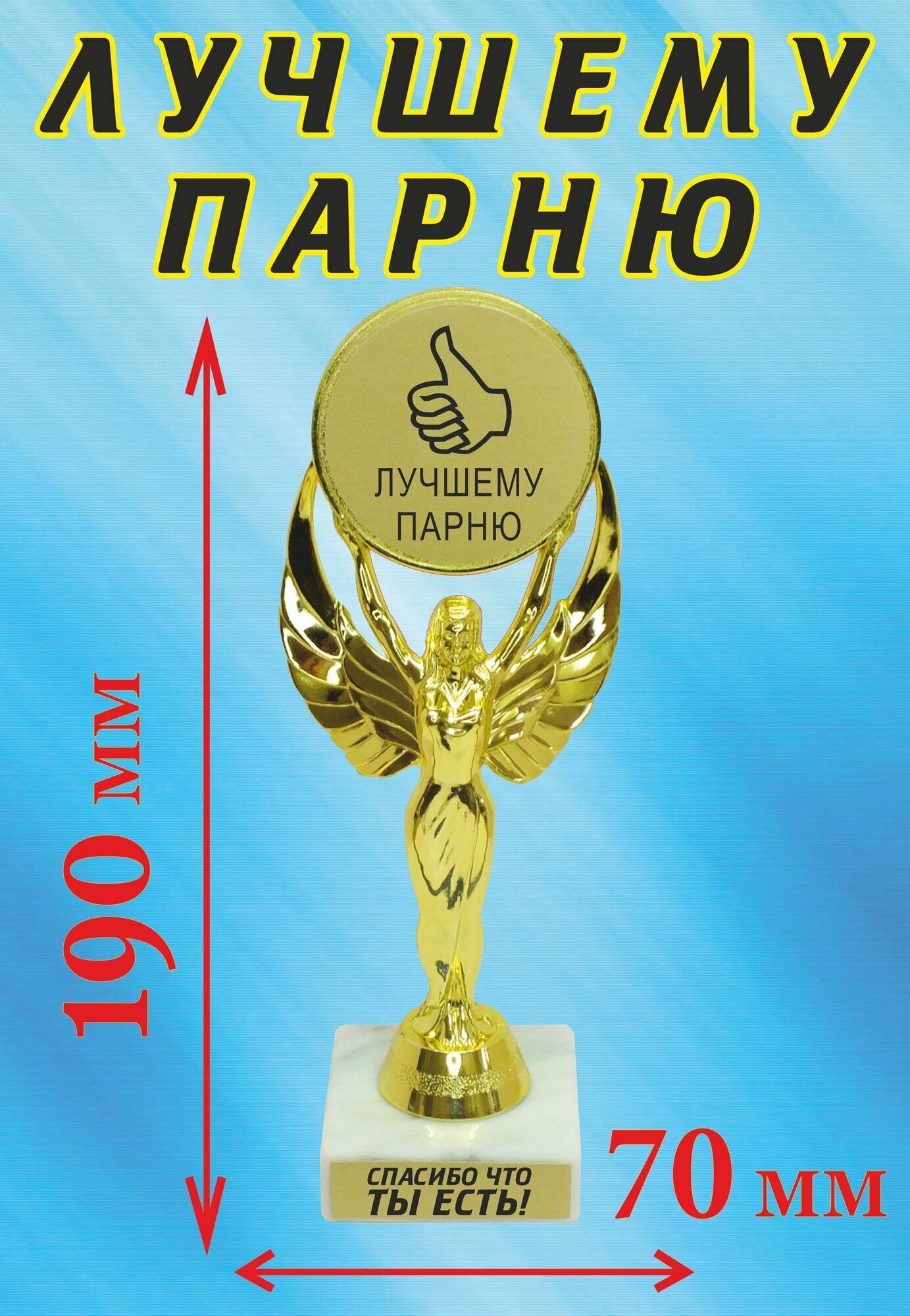 Кубок подарочный Ника " Лучшему парню ".