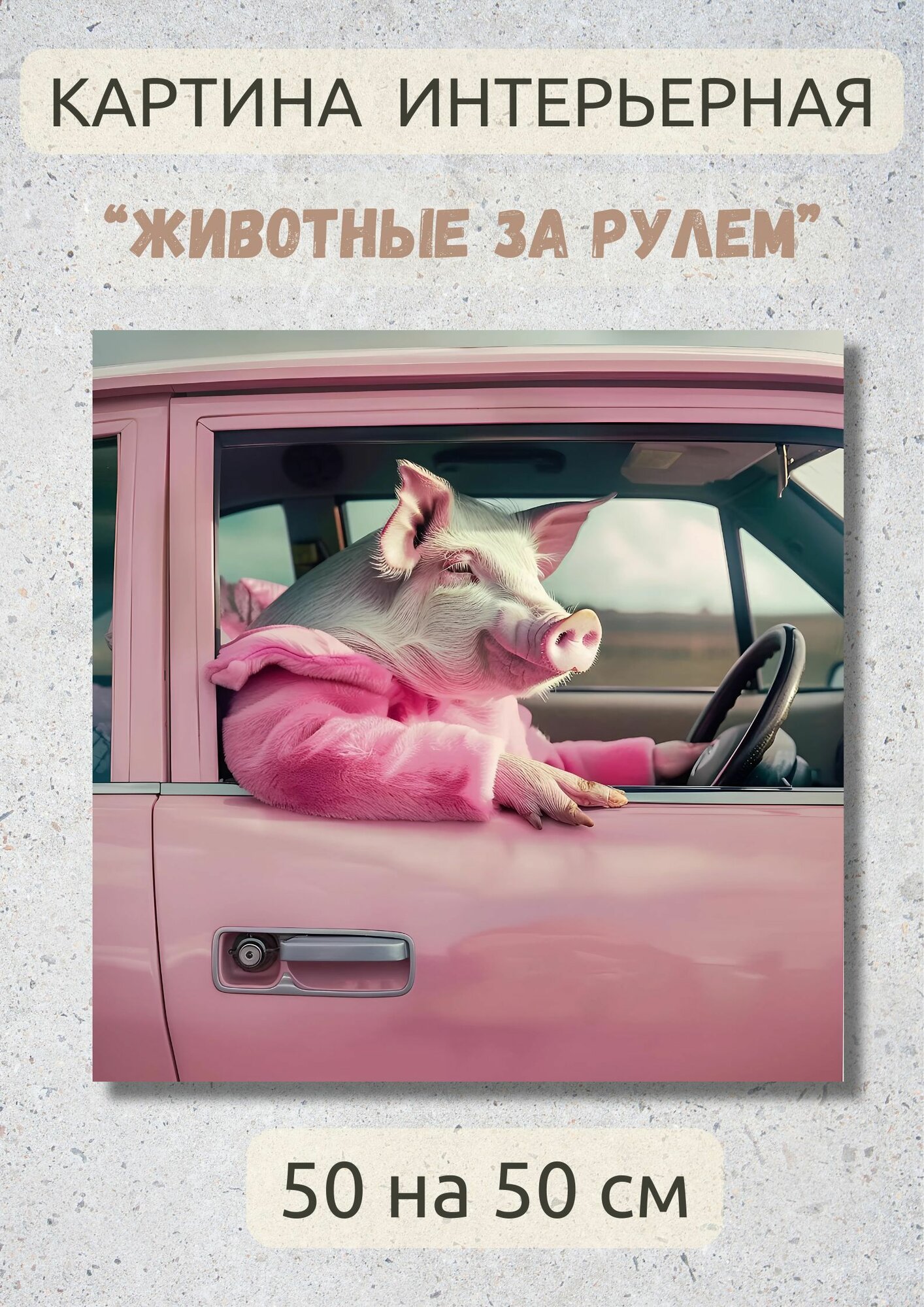 Картина с животным на машине "Свинья за рулем" 50х50