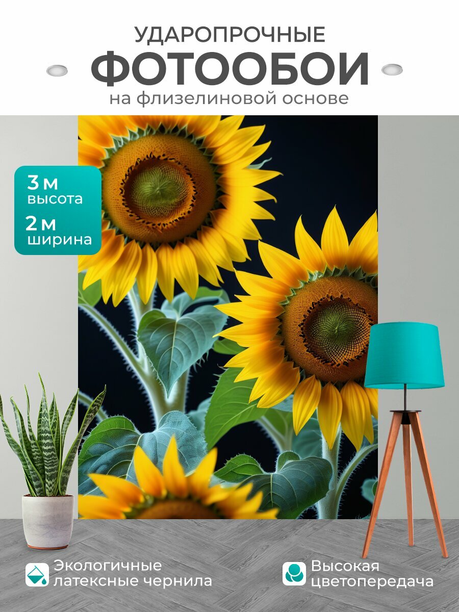 Фотообои моющиеся ударопрочные "Стильный натюрморт с подсолнухами" 200x300 см. флизелиновые на стену