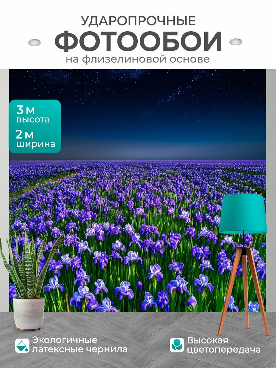Фотообои моющиеся ударопрочные "Ночное небо над полями ирисов" 300x300 см. флизелиновые на стену