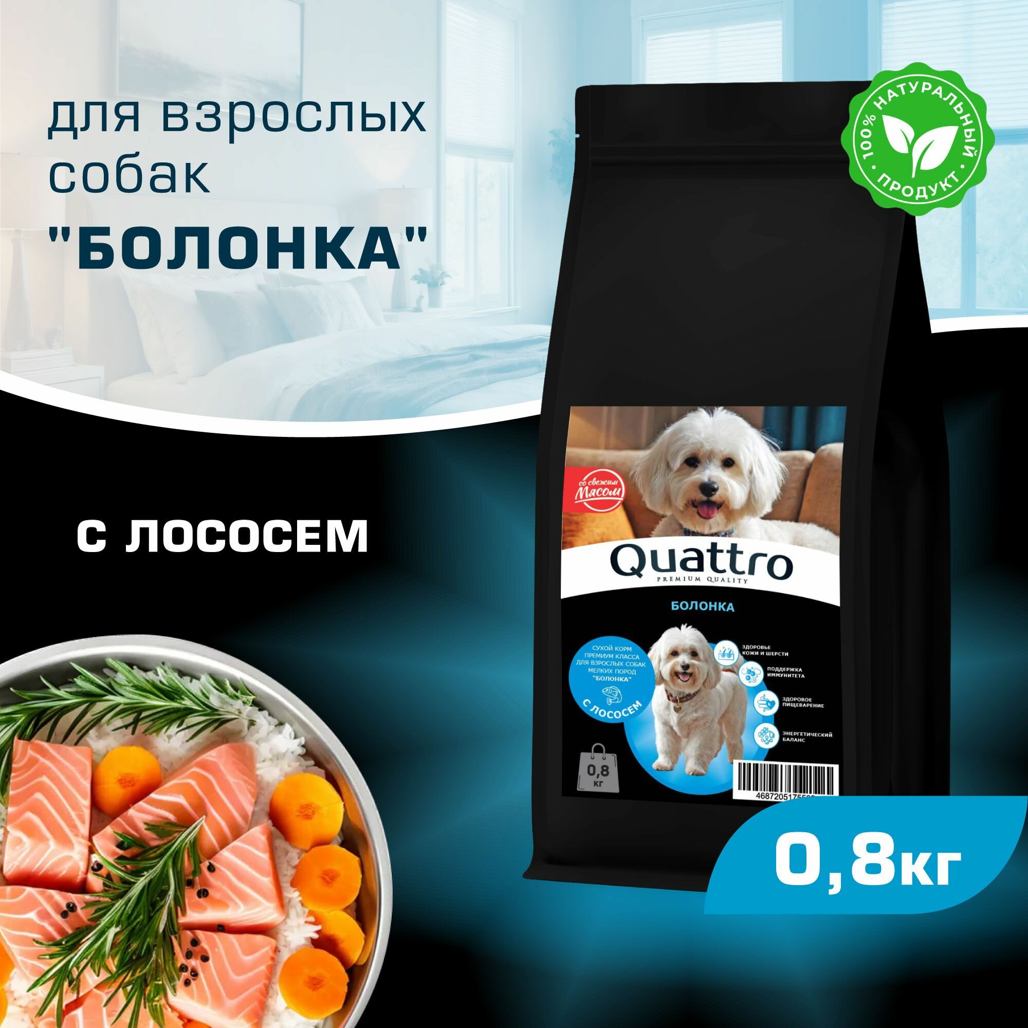 Quattro корм для взрослых собак породы Болонка, с лососем 800 гр