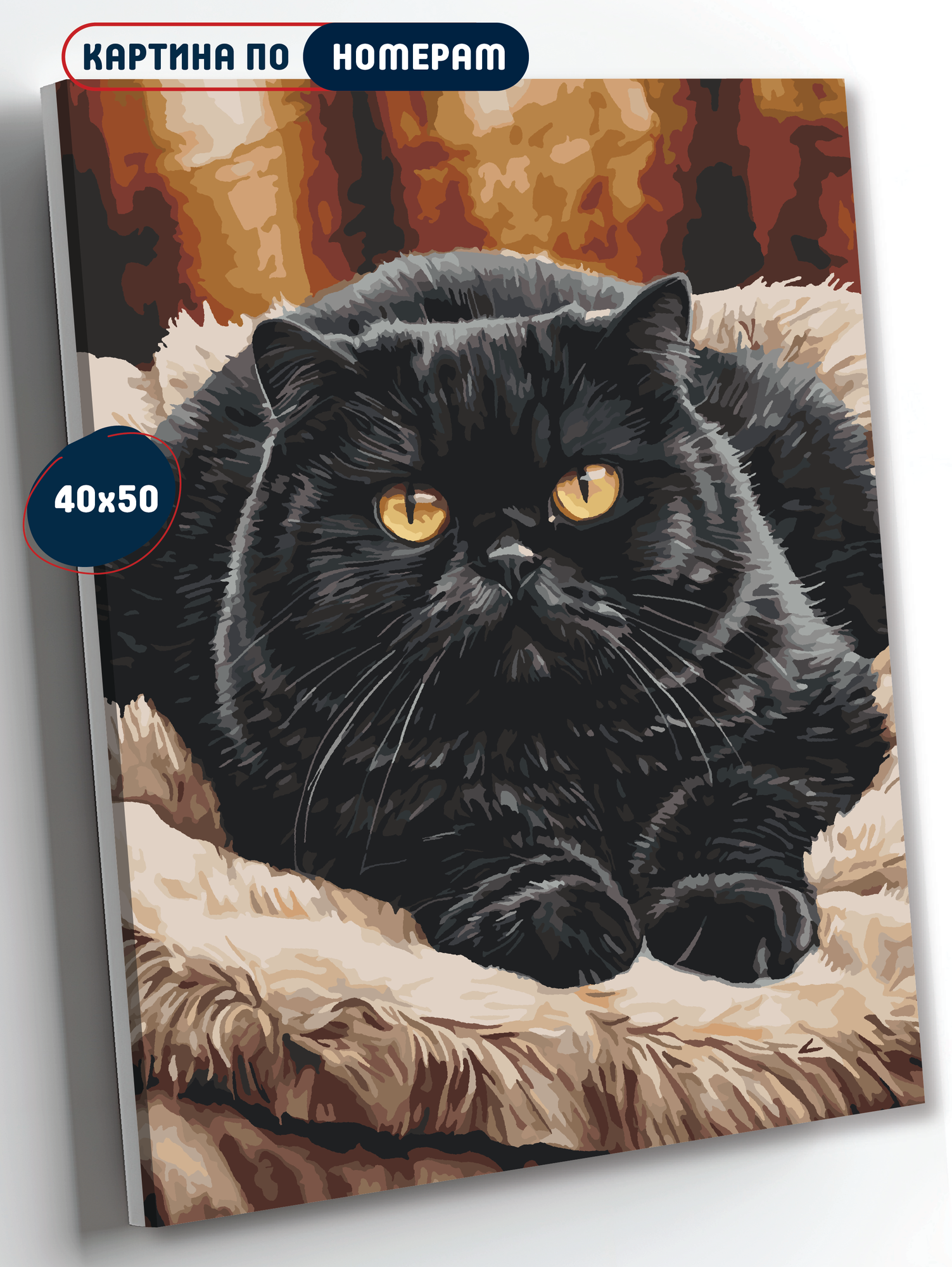 Картина по номерам "Чёрный кот_1", Холст на подрамнике 40х50, набор для рисования