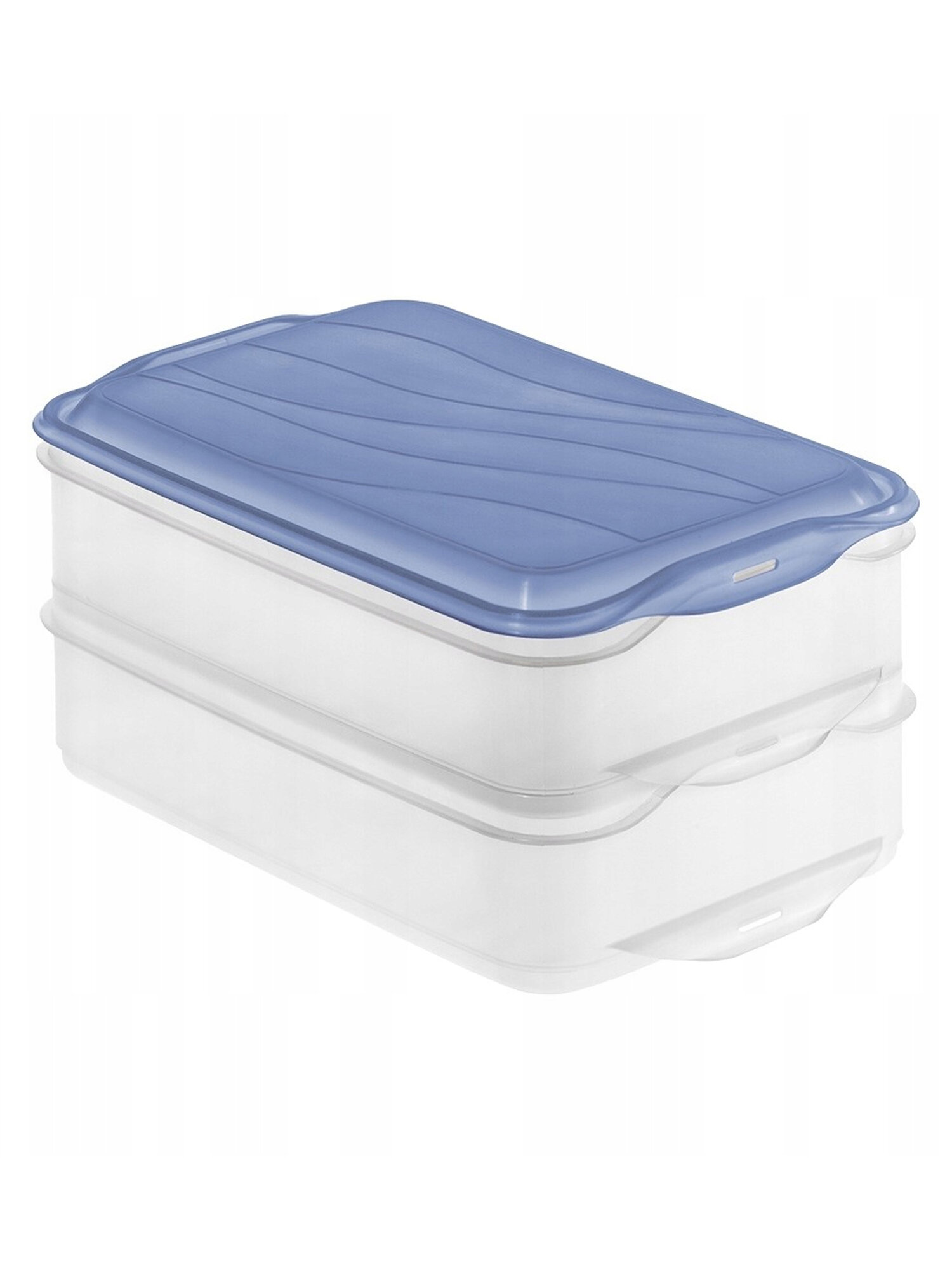Контейнер для продуктов с двумя секциями Rotho RONDO 2*1,35 л, голубой горизонт