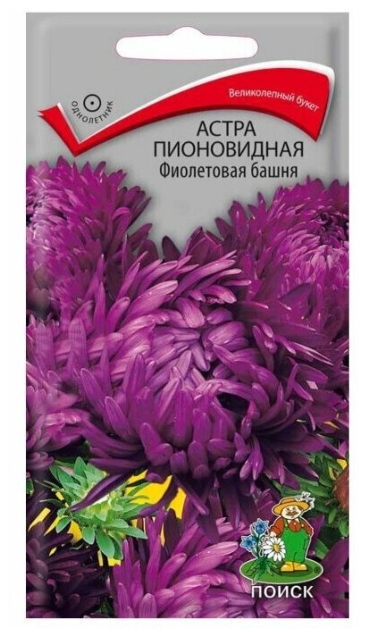 Семена Астра Фиолетовая башня пионовидная 0,3г Одн (Поиск)