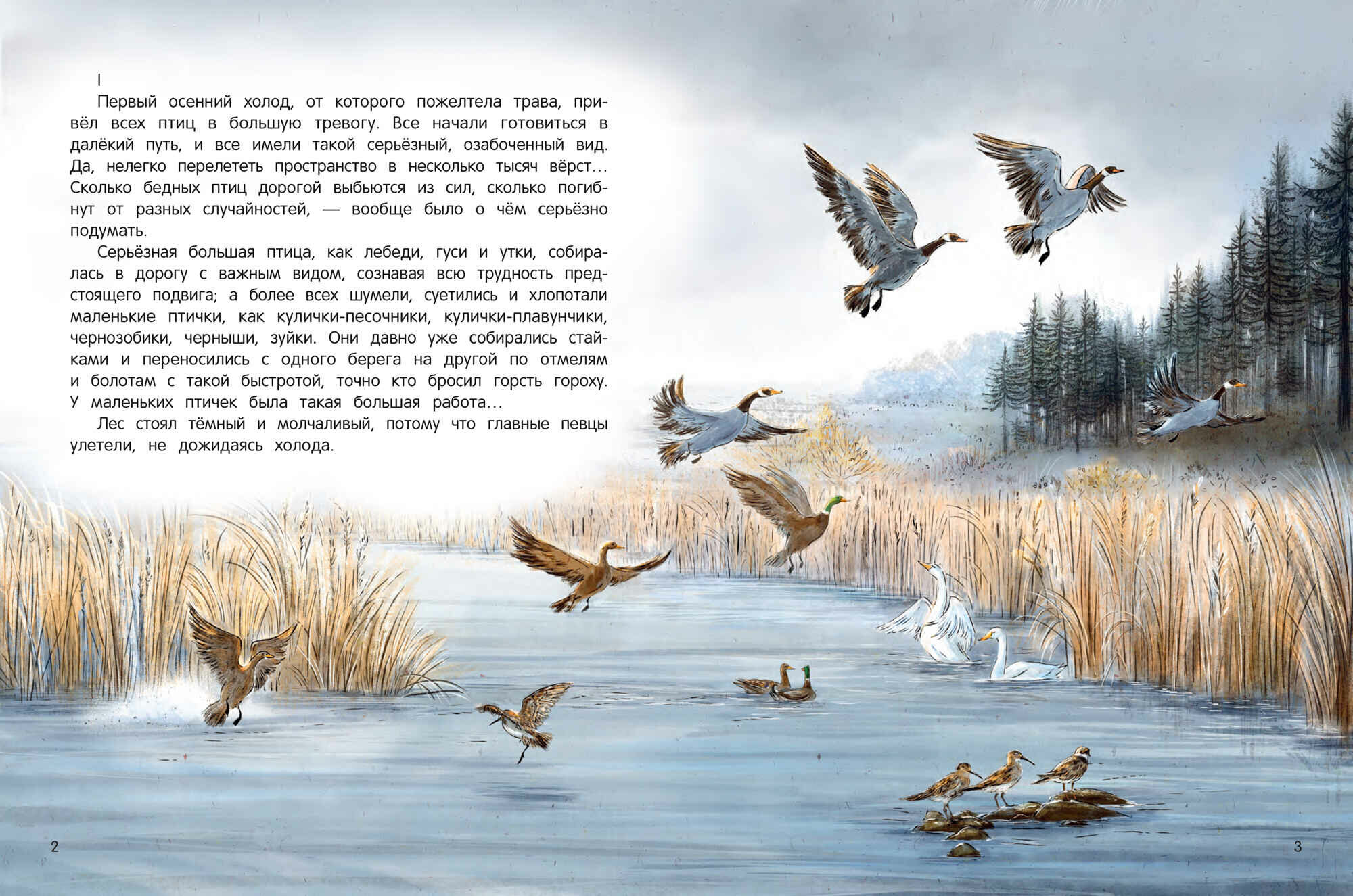 Книга Мамин-Сибиряк "Серая шейка", иллюстрированная, твердый переплет, офсетная бумага — фото 1