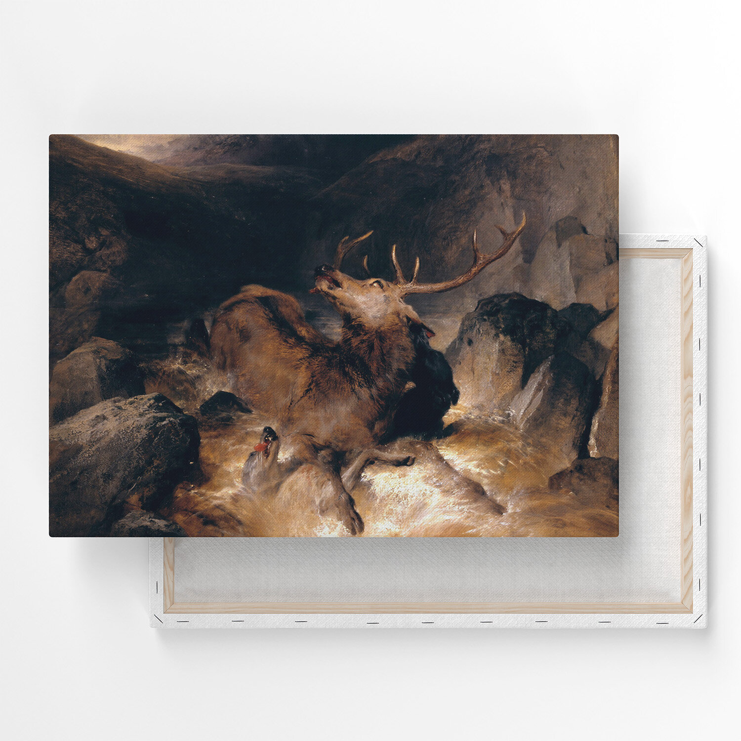 Картина на холсте, репродукция / Эдвин Ландсир - Deer and Deer Hounds / Размер 30 x 40 см