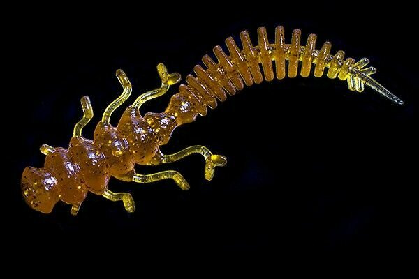 Мягкие приманки Jara Baits Nano Series NESSY-50 Мидия # 01 (8шт)