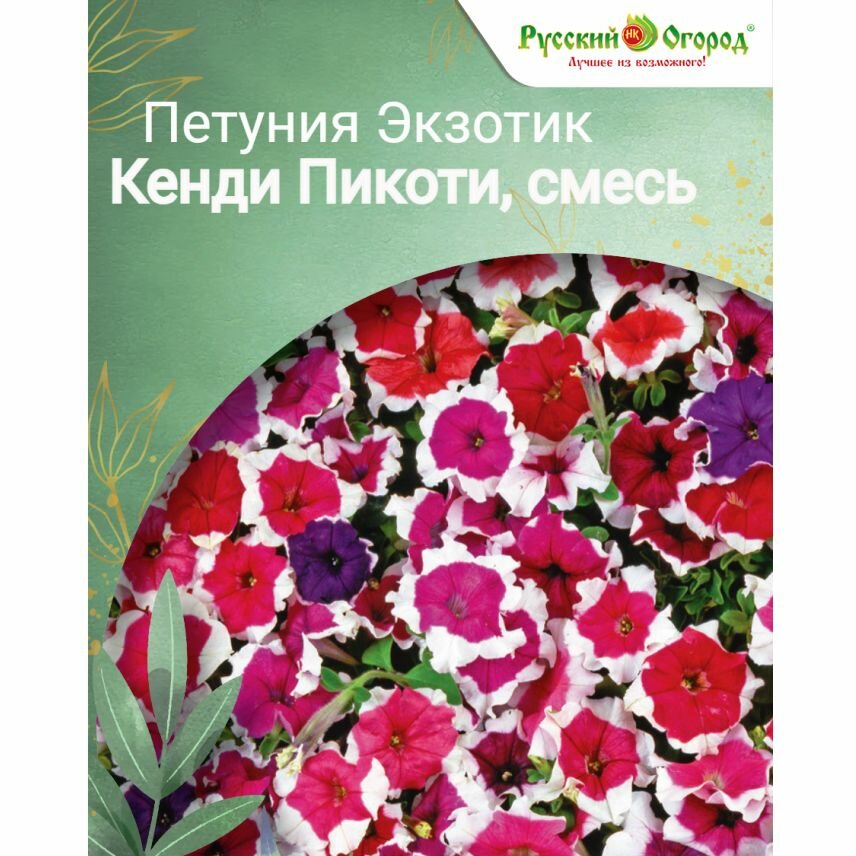 Семена растения Петуния Экзотик F1 Кенди Пикоти, смесь