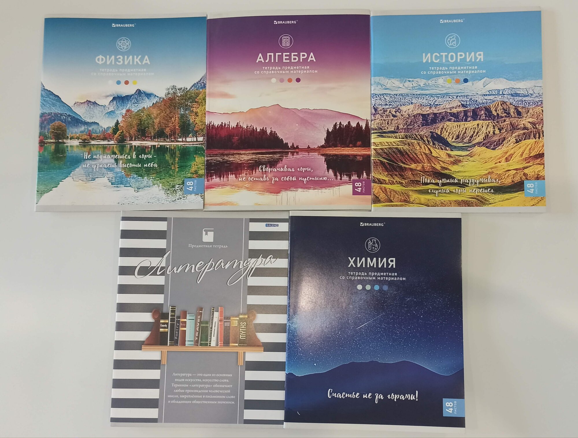 Тетрадь предметная BRAUBERG, комплект 5 предметов, 48л