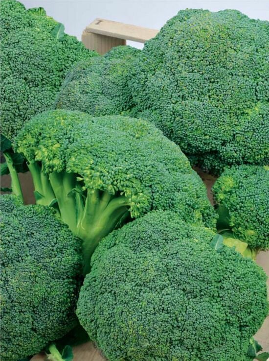 Семена Капуста брокколи Фиеста F1 10 шт.