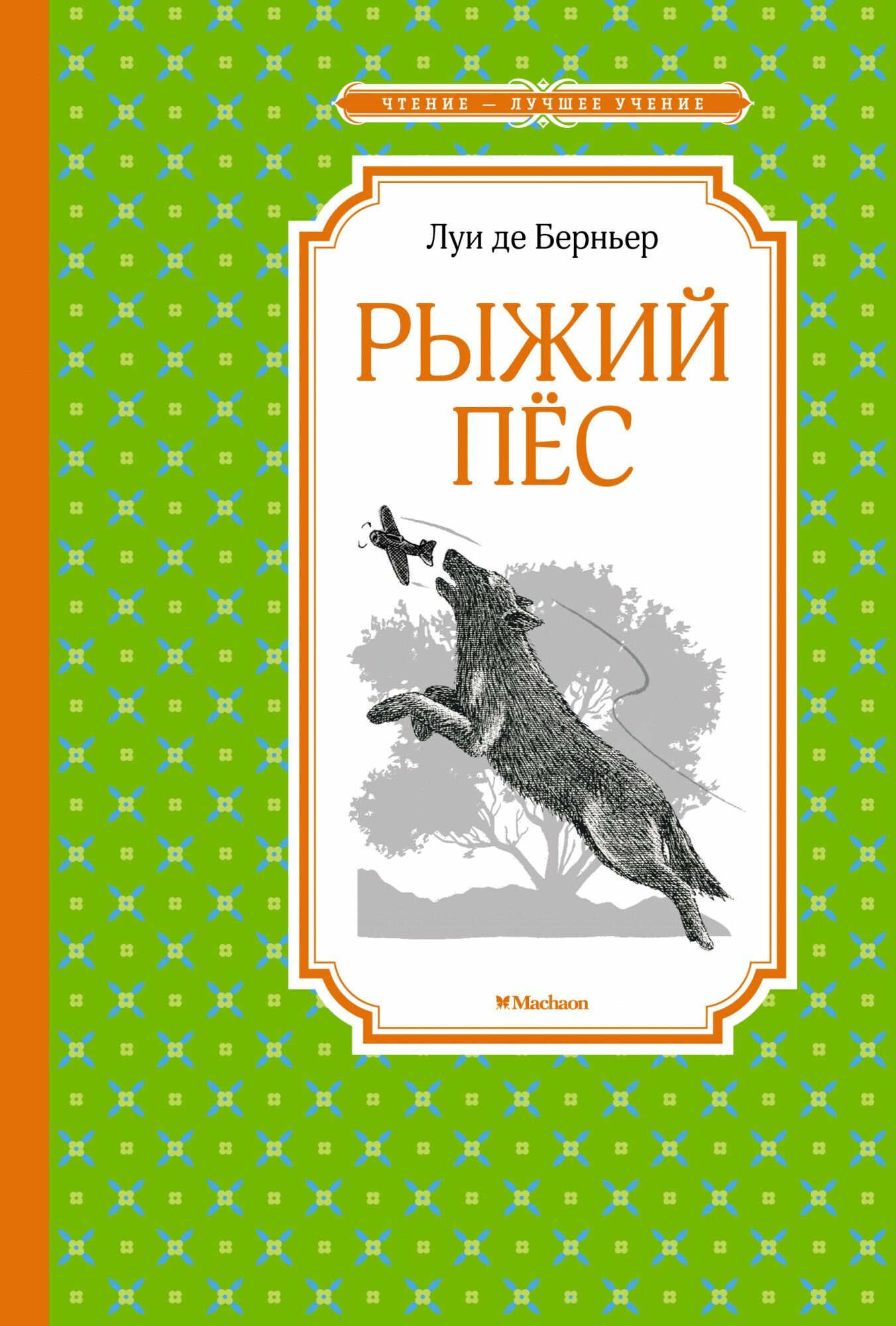 Рыжий пес