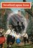 Stratford upon Avon 1983 г.