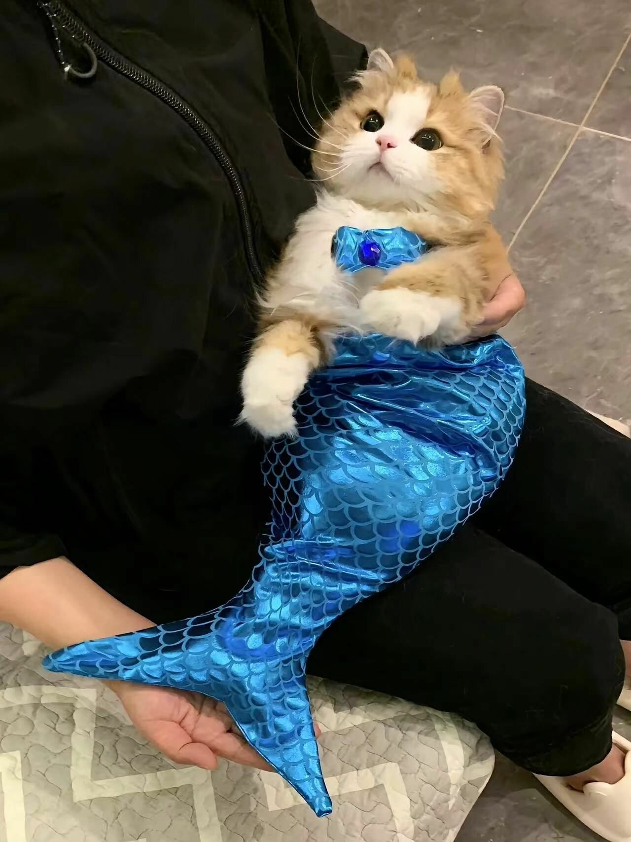 Купальник русалки для кошек и собак, кошка забавный Карнавальный костюм с рыбьим хвостом(5-12 кг)