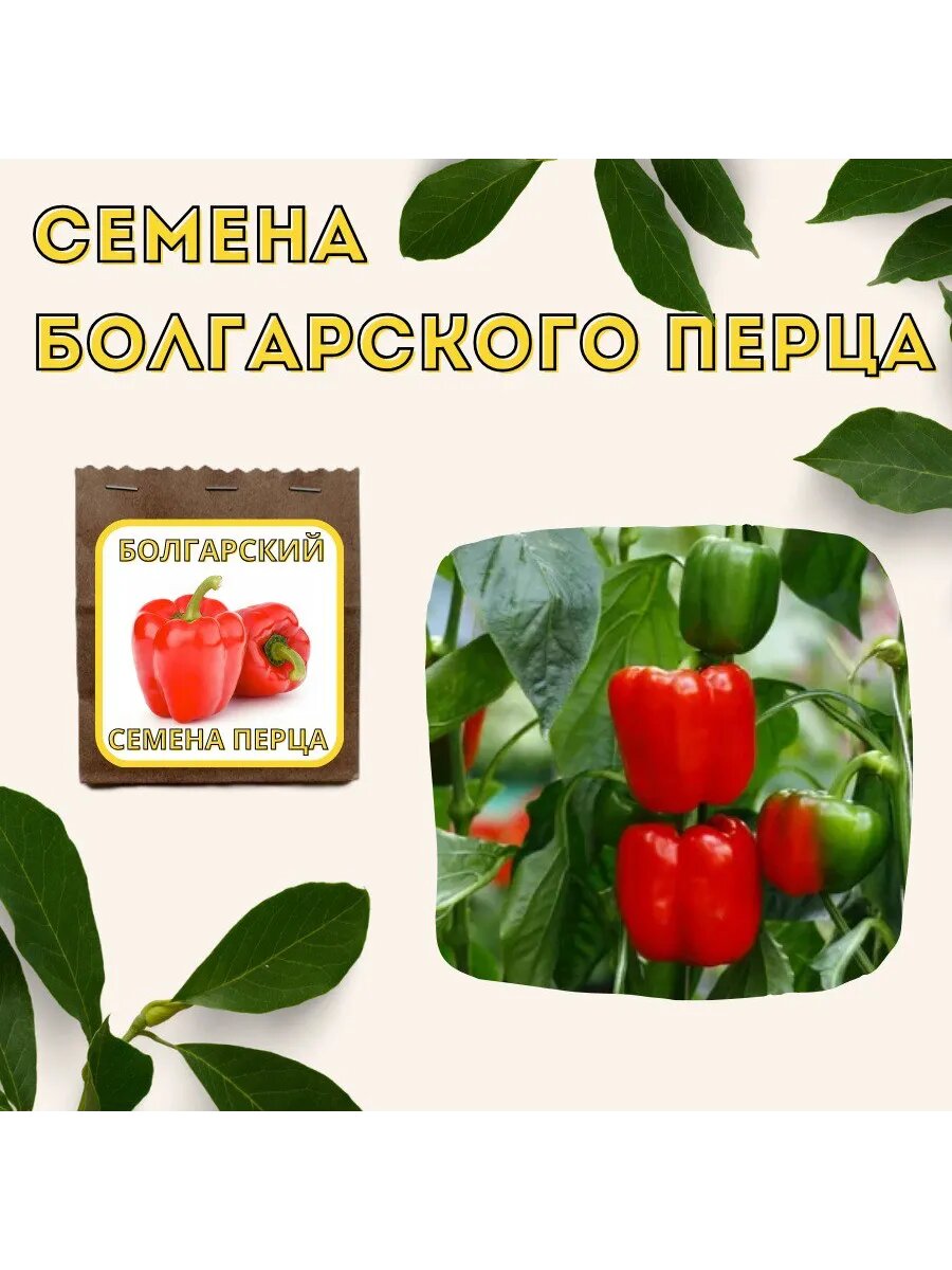 Семена болгарского перца
