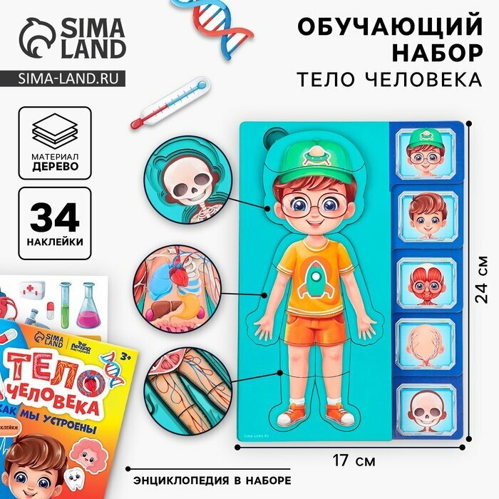 Обучающий набор Лесная мастерская Тело человека, рамка-вкладка и книга с наклейками