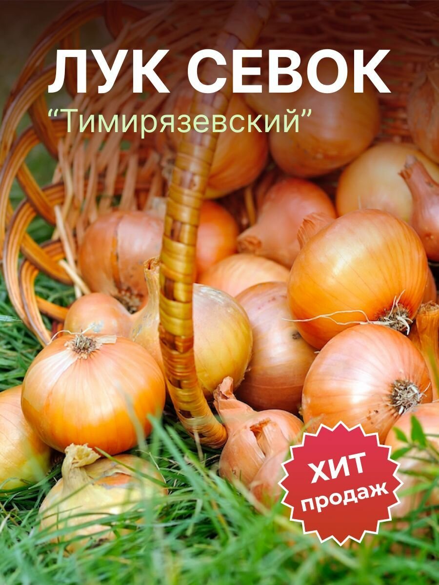 Лук севок на посадку "Тимирязевский " 500гр
