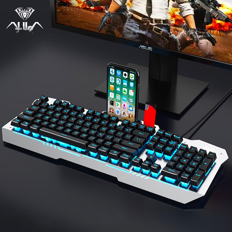 AULA F3010 Mechanical Feel Keyboard, Gaming Keyboard, Wired Keyboard, Backlit Keyboard for Desktop Computer, Laptop, Internet Cafe, External Device for PUBG, Ice Blue Light, Gray