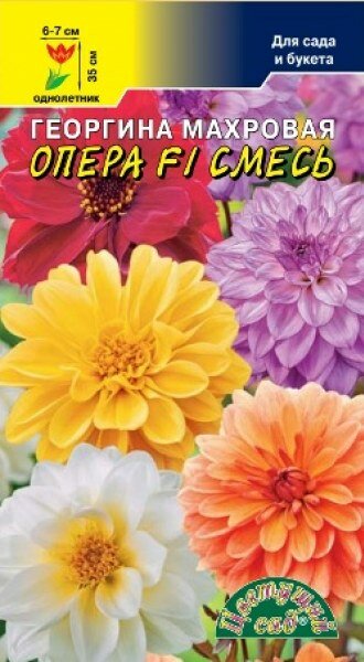 Семена Георгина Опера F1 Смесь махровая 0.05г Одн 35см (Цветущий Сад)