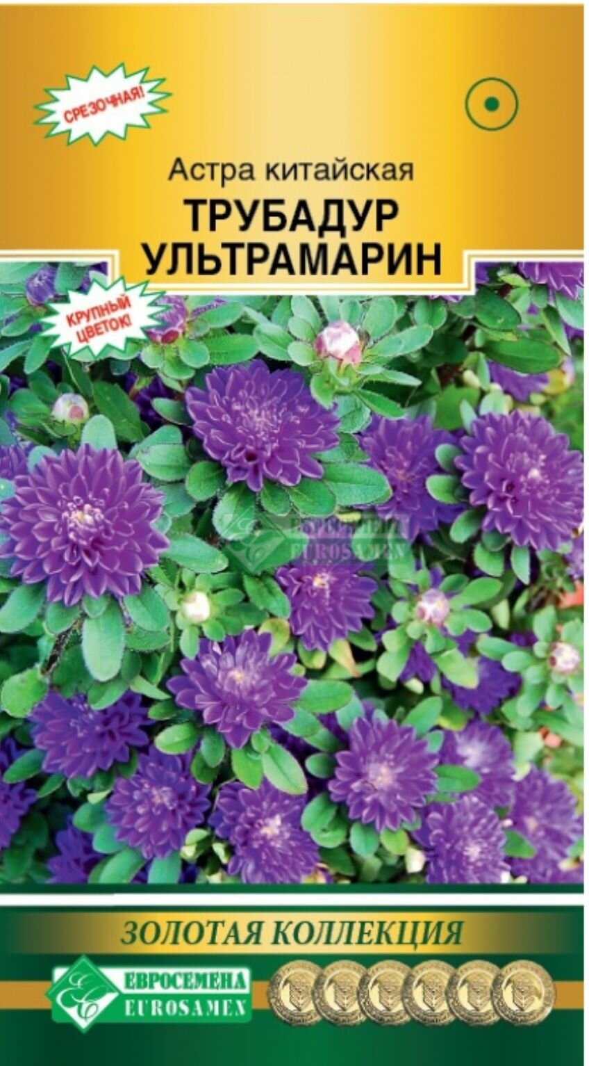 Астра китайская трубадур ультрамарин (10сем)
