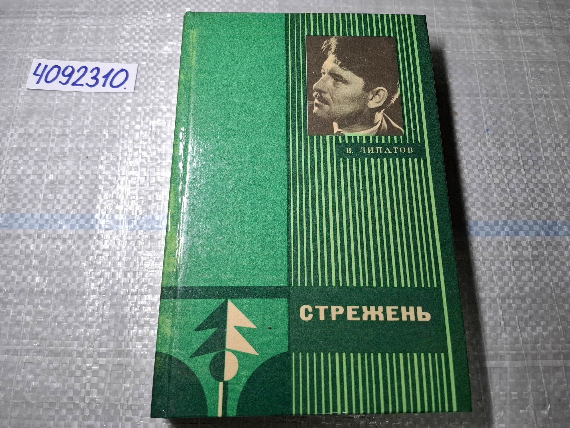 Стрежень Липатов В.