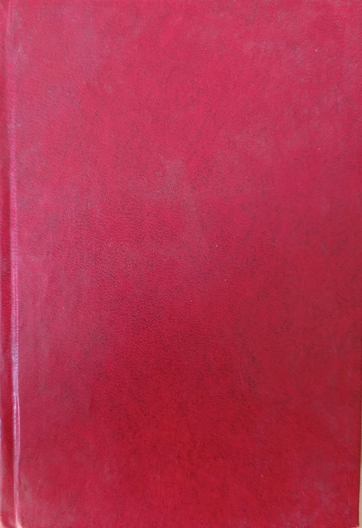 Зверь из бездны. Историческое сочинение. Книга вторая: Золотое пятилетие