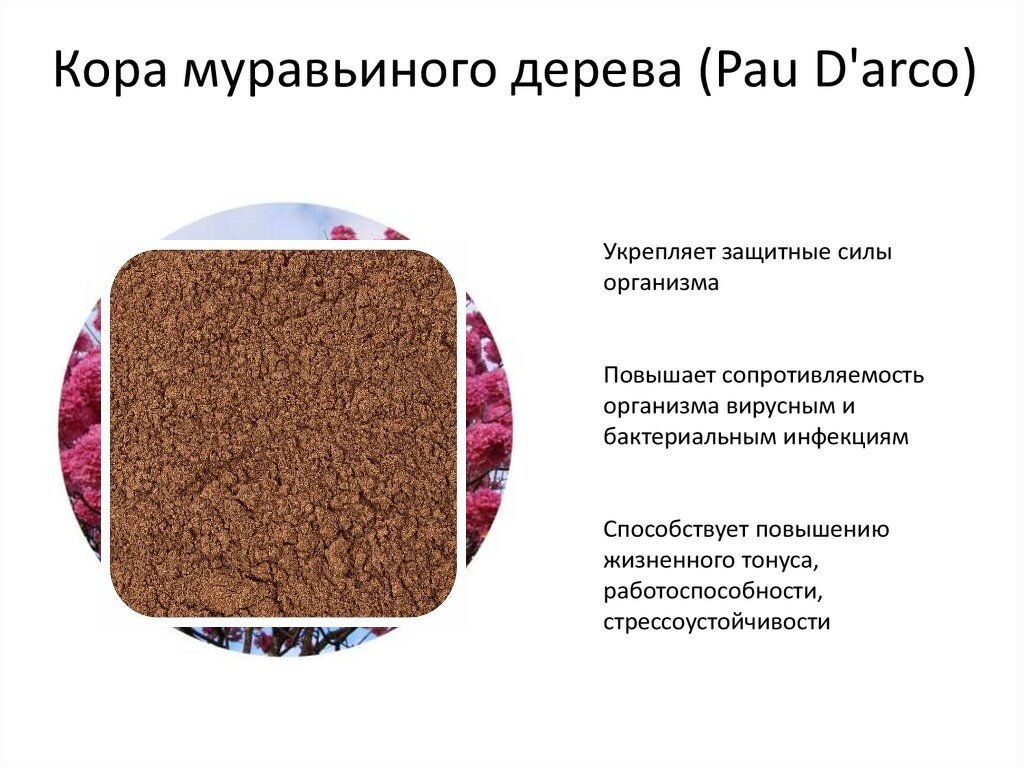 Кора муравьиного дерева высшего качества Пау д'Арко . Чай для иммунитета. 50 г.